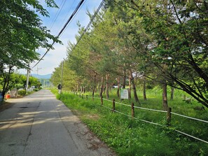Quarto quádruplo família, vista para a montanha | Vista para o pátio
