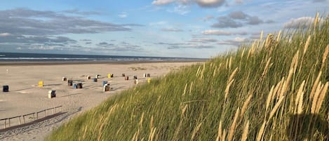 Uma praia com cerca e área gramada com grama alta.