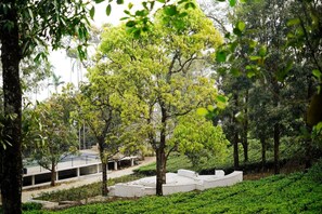 Um parque com árvores, uma estrutura circular branca e um edifício com telhado.