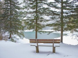 Um banco numa floresta coberta de neve, com um lago ao fundo.