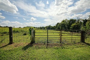 Paisagem rural com um portão de metal, campos gramados e árvores ao fundo.
