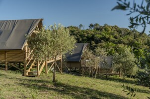 Um camping com estruturas de madeira e céu limpo.