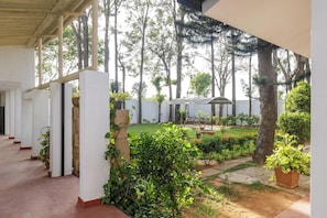 Área externa coberta com um caminho flanqueado por pilares brancos, cercada por vegetação e árvores.