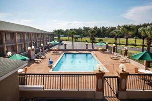 Área de piscina de hotel com uma piscina retangular, espreguiçadeiras e guarda-sóis.