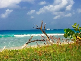 Uma praia com uma árvore caída, ondas do oceano e um barco ao longe.