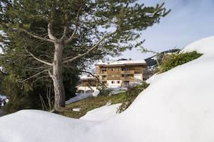 Um edifício de vários andares com varandas, cercado por terreno coberto de neve e uma grande árvore perene.