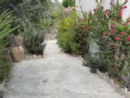 Caminho de pedra ladeado por diversas plantas e um vaso grande.