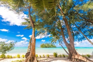 Uma praia com águas turquesa cristalinas, palmeiras e uma ilha ao longe.