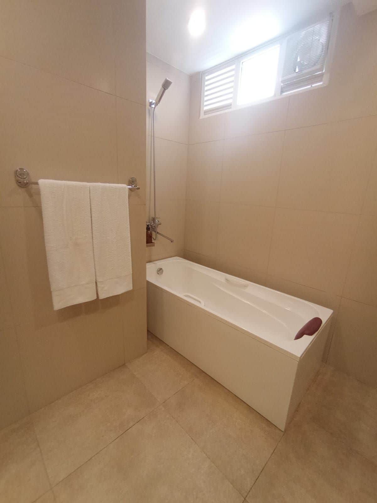 Casa de banho com banheira, chuveiro e porta-toalhas.
