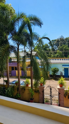 Área residencial com palmeiras, portão fechado e um edifício com porta azul.
