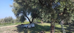 Área externa arborizada com um banco e uma escada.