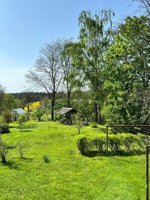 Um jardim verdejante e exuberante, com diversas árvores e arbustos, uma pequena construção e uma área cercada.