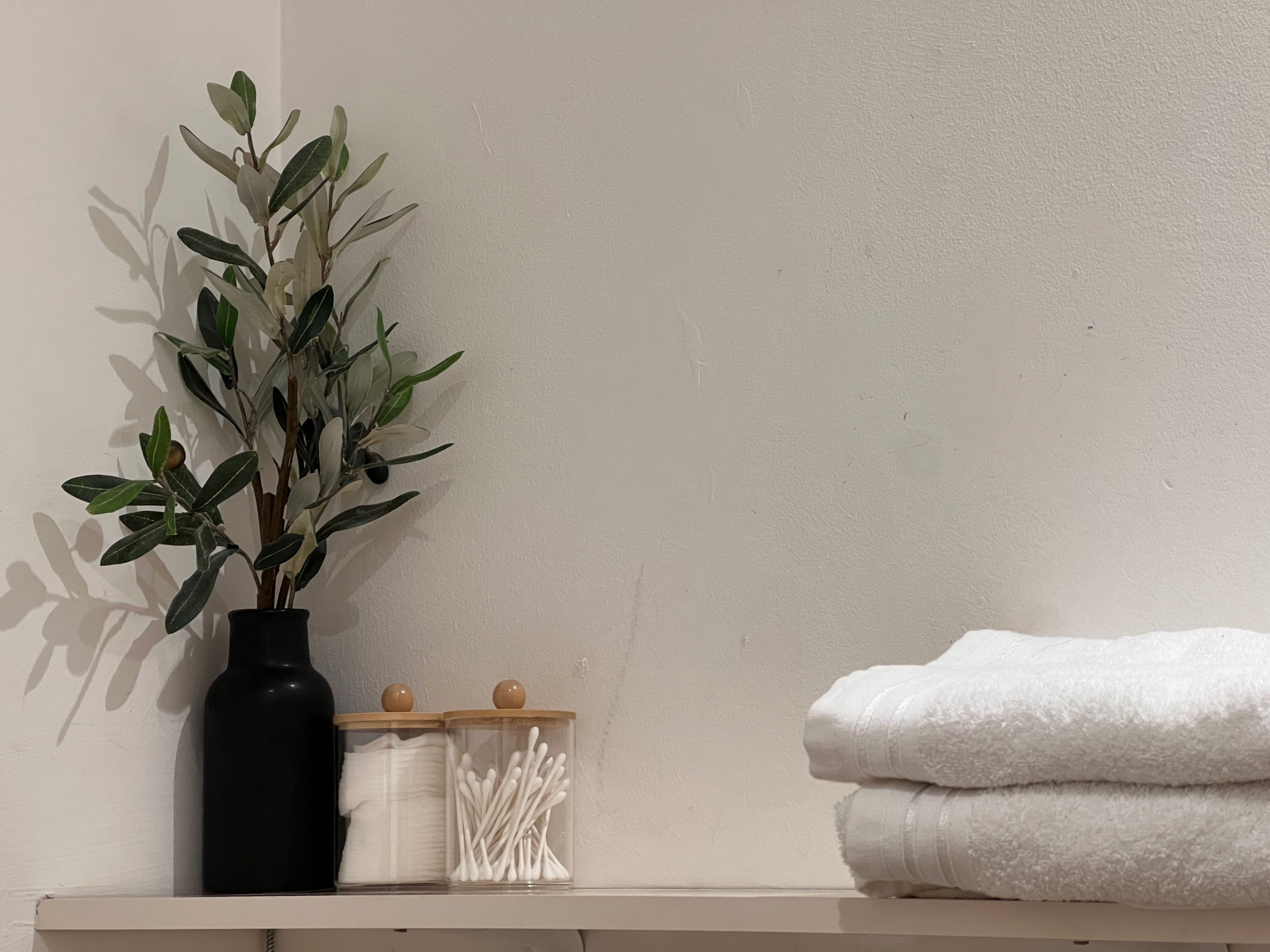 Uma prateleira com uma planta em vaso, um recipiente com cotonetes e toalhas dobradas.