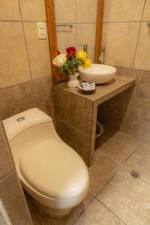 Casa de banho com sanita, lavatório e um vaso com flores.