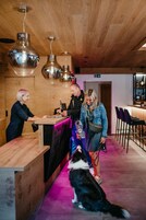 Interior moderno com teto de madeira e luminárias pendentes, balcão de recepção e área de bar com cadeiras roxas.