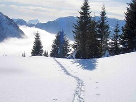 Trilha nevada na montanha, com árvores e uma cordilheira ao fundo.