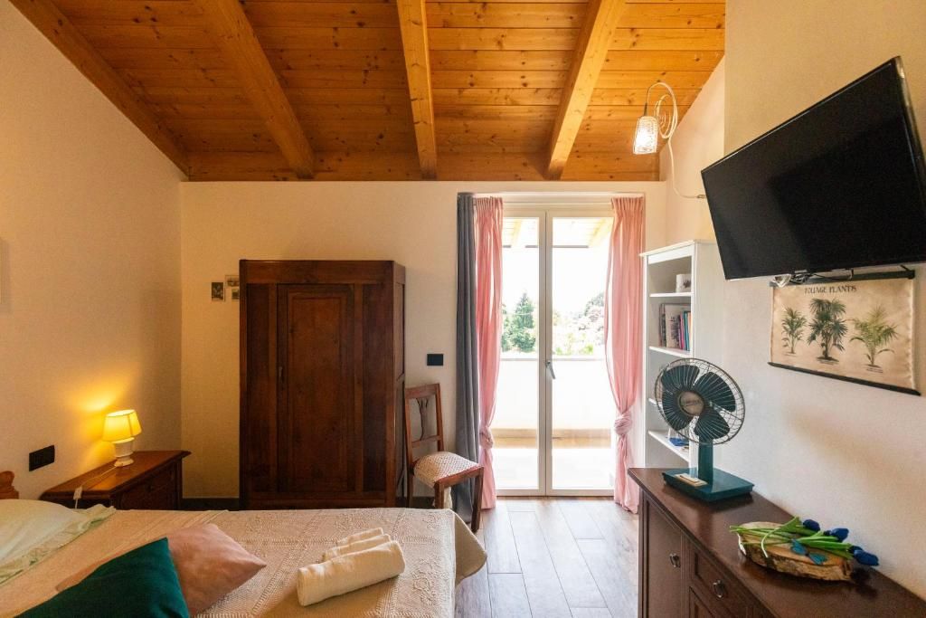 Quarto com cama, porta de madeira, porta de correr de vidro, ventoinha, televisão e prateleira com livros e uma planta.