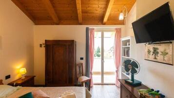 Quarto com cama, porta de madeira, porta de correr de vidro, ventoinha, televisão e prateleira com livros e uma planta.