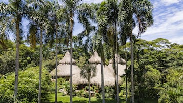 Paisagem tropical com palmeiras e casas com telhado de palha.