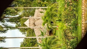 Um jardim exuberante com um caminho de pedra, palmeiras e uma construção com telhado de palha.