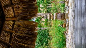 Estrutura com telhado de palha e um caminho de jardim que leva a um muro de pedra.