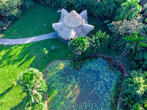 Um jardim com uma construção de colmo, um lago com folhas de lírio e diversas plantas tropicais.