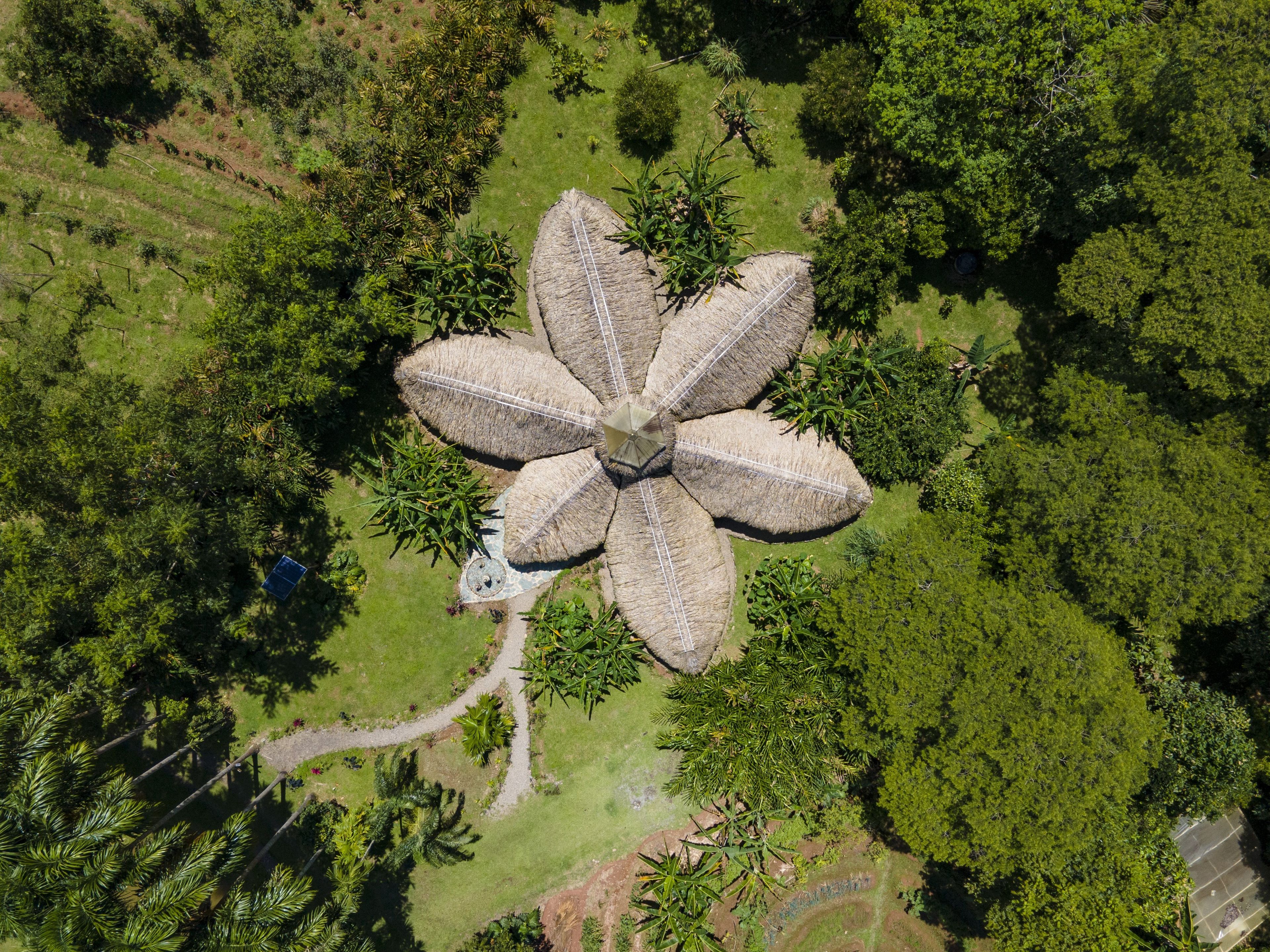 Vista aérea de um jardim com uma grande estrutura em formato de flor, cercada por vegetação exuberante.