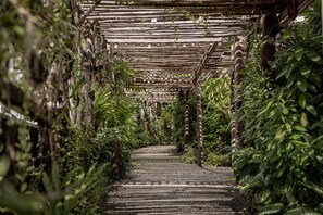 Uma passarela de madeira serpenteia por um jardim exuberante, com uma pérgula acima.