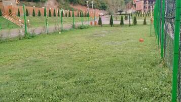 Uma área gramada ao ar livre com quadra de basquete, cercada por um muro verde e árvores.