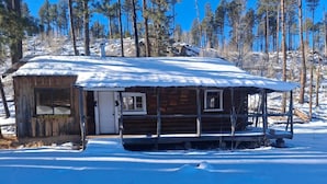 Uma cabana com fachada de madeira e telhado coberto de neve, rodeada por uma floresta.