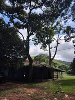 Um edifício rústico com telhado de palha, rodeado por vegetação exuberante e árvores.