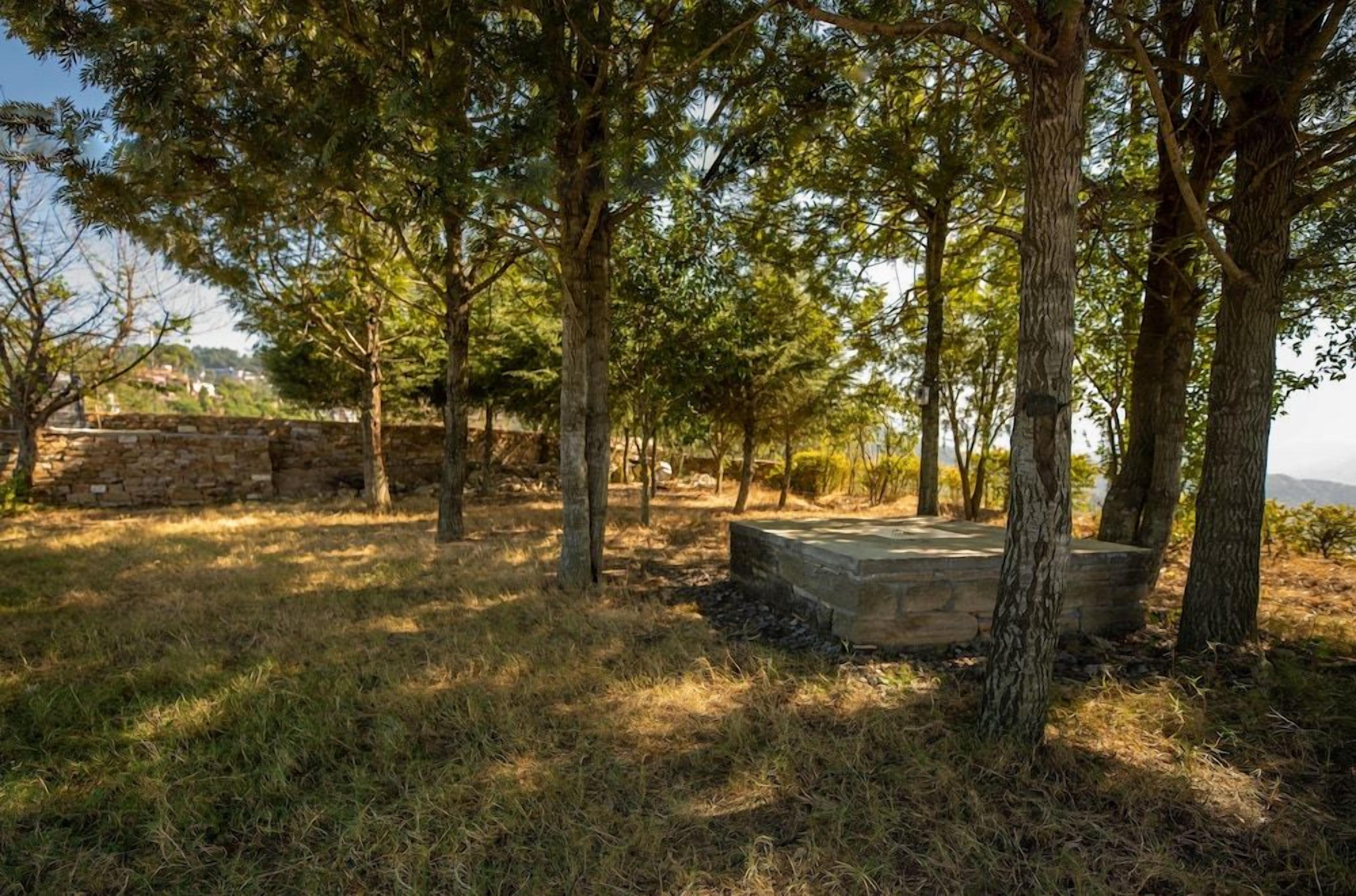 Área externa com árvores, um muro de pedra e um platô de pedra.