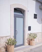 Entrada de um edifício com uma porta cinza, uma pequena placa acima da porta e duas plantas em vasos no chão.