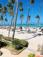 Uma praia com palmeiras, espreguiçadeiras e um céu azul límpido.