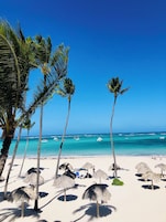 Uma praia com palmeiras, guarda-sóis de palha e um céu azul límpido.