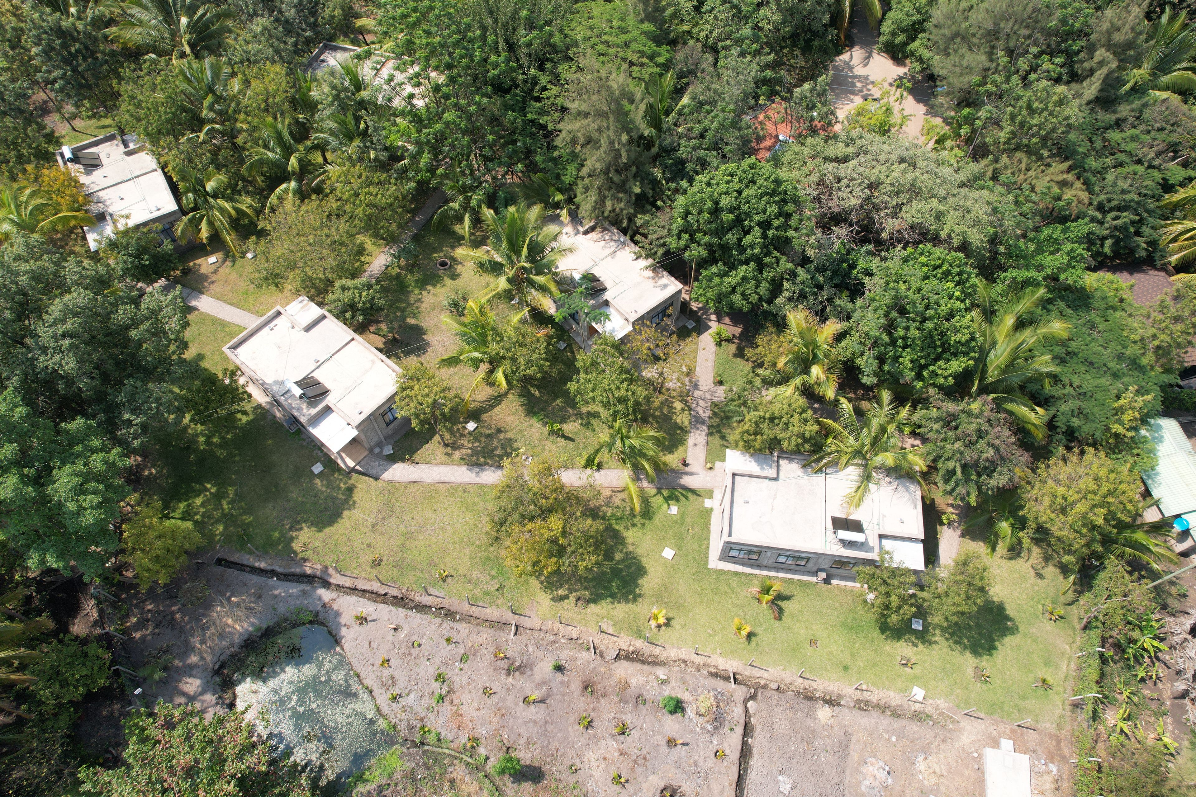 Bairro residencial com várias casas cercadas por vegetação densa.