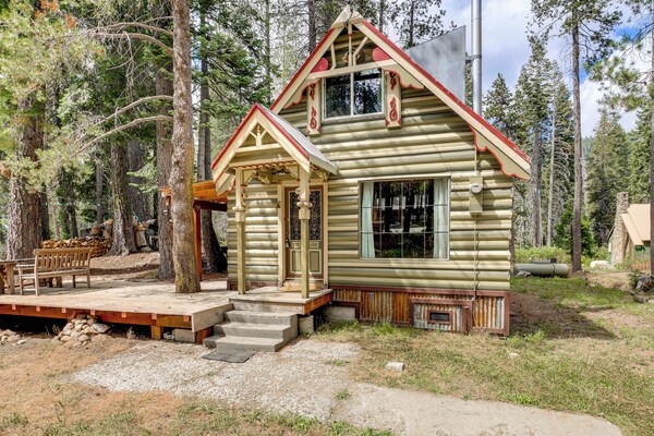 Cozy Mountain Cabin Skiing Hiking Biking Swimming - California