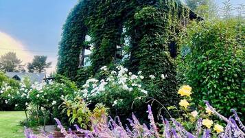 Um jardim com diversas plantas e flores, incluindo lavanda e rosas.