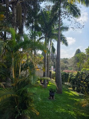 Um jardim exuberante com palmeiras, um banco de pedra e um gramado bem cuidado.