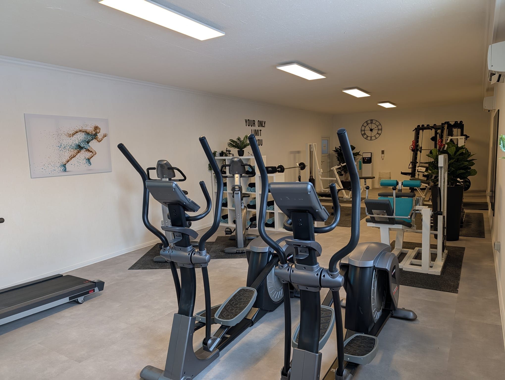 Academia com bicicletas ergométricas, esteira e máquinas de musculação.