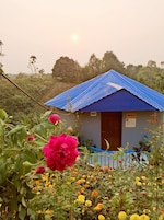 Um pequeno edifício com telhado de chapa azul, rodeado por um jardim com diversas plantas floridas.