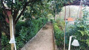 Uma trilha de terra acompanhada por vegetação e um muro de tijolos.