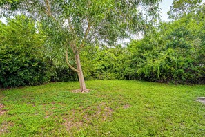 Uma área gramada com uma única árvore e vegetação densa ao fundo.