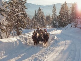 Paisagem nevada com uma carruagem puxada a cavalo.