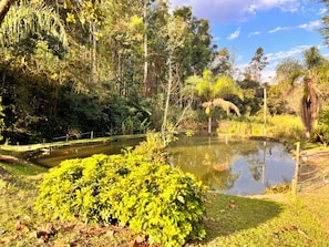 Um lago rodeado por vegetação exuberante e árvores.