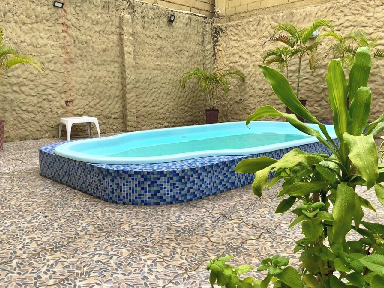 Piscina com borda azulejada, rodeada por uma parede texturizada e vasos com plantas.