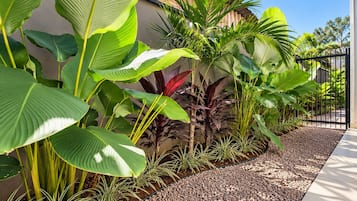 Um jardim arborizado com diversas plantas tropicais, um caminho de cascalho e uma cerca de metal.