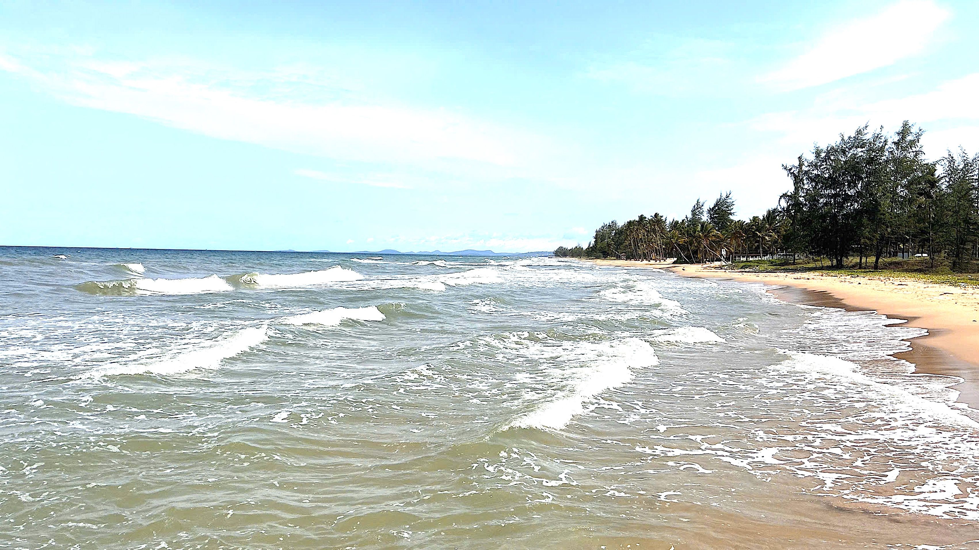 Uma praia com ondas, areal e uma faixa de árvores.