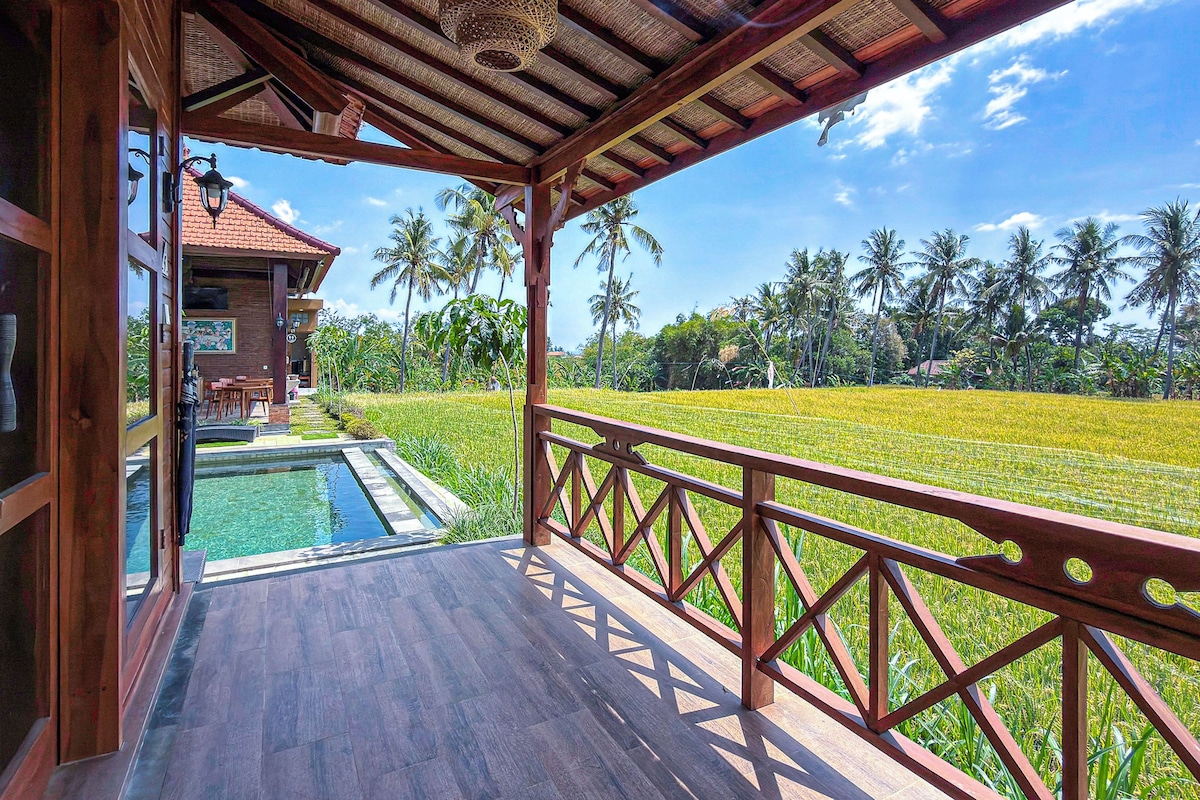 Um deck de madeira com piscina e vista para um campo de arroz.