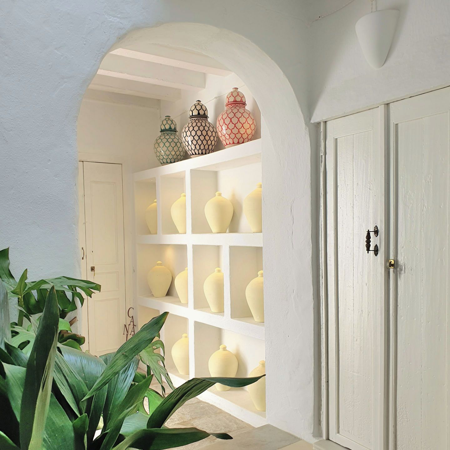 Um corredor com porta branca, prateleira branca com vários vasos e uma planta grande.